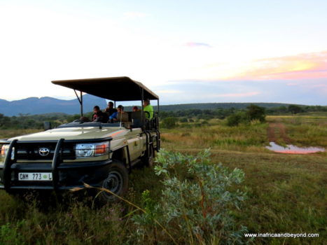 Legend Golf and Safari Resort Review: In Africa and Beyond