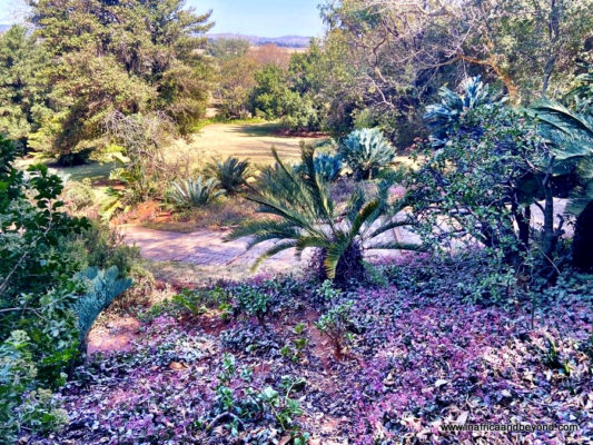 15 Best Things to do in Pretoria - In Africa and Beyond