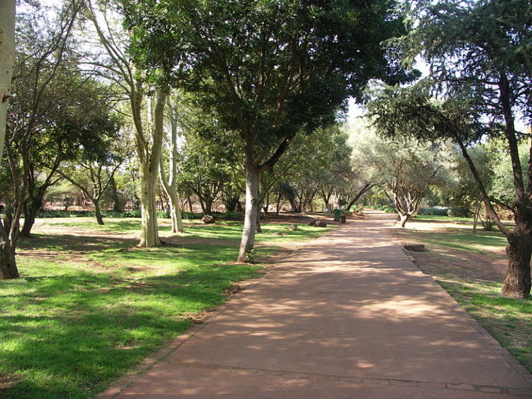 15 Best Things to do in Pretoria - In Africa and Beyond
