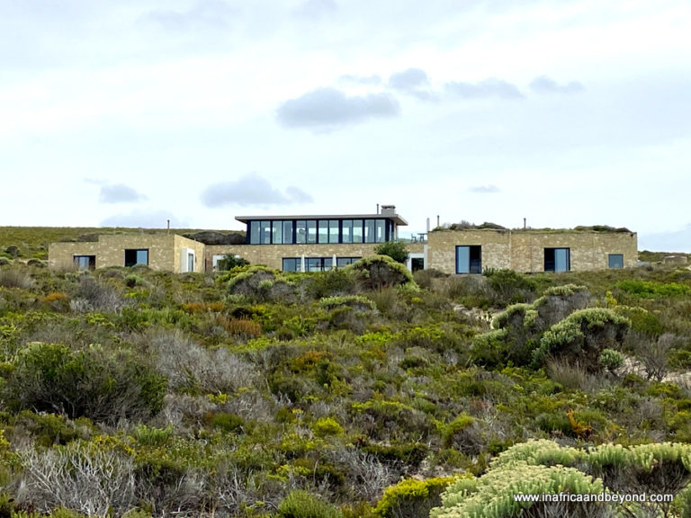 Morukuru Beach Lodge - De Hoop Nature Reserve