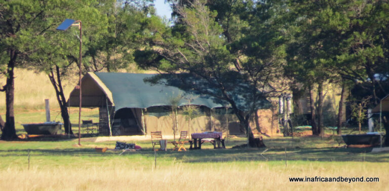 Sibani Lodge - Glamping in the Cradle Of Humankind