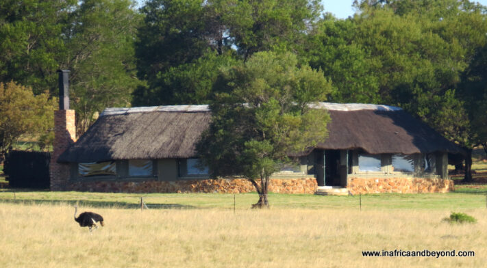 Sibani Lodge - Glamping in the Cradle Of Humankind
