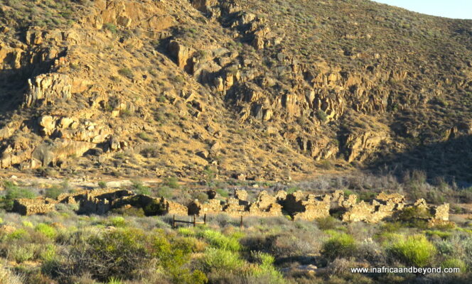 Namaqua National Park - More than pretty flowers