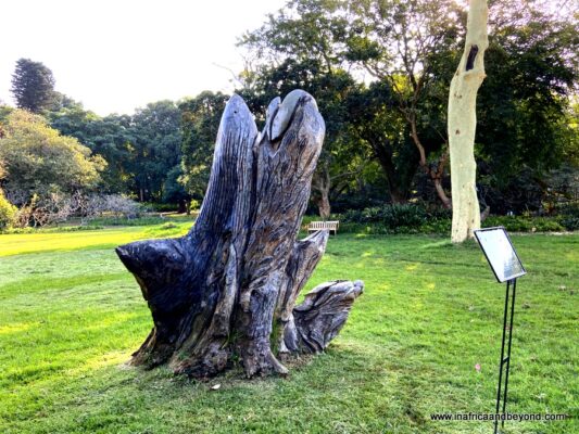 Durban Botanic Gardens & 11 fascinating things to see there