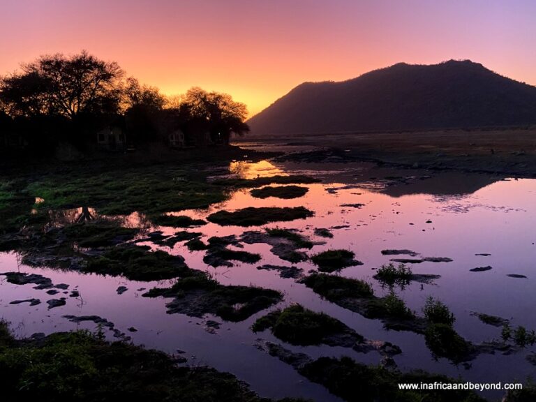 Tau Game Lodge - Exciting wildlife viewing at your doorstep