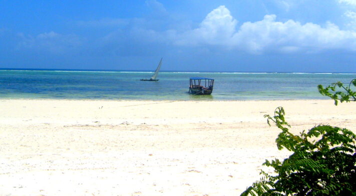 11 Best things to do in Zanzibar - In Africa and Beyond