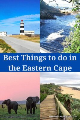 9 Best Things to do in the Eastern Cape