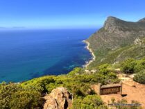 11 best things to do in Cape Point