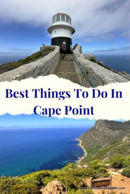 11 best things to do in Cape Point
