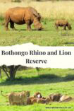 Bothongo Rhino and Lion Reserve - A Fun Family Outing